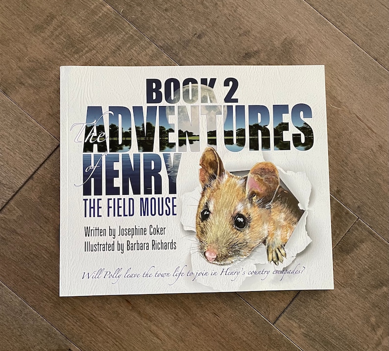 Illustrated Childrens Book Mouse Adventures Making Friends - Etsy