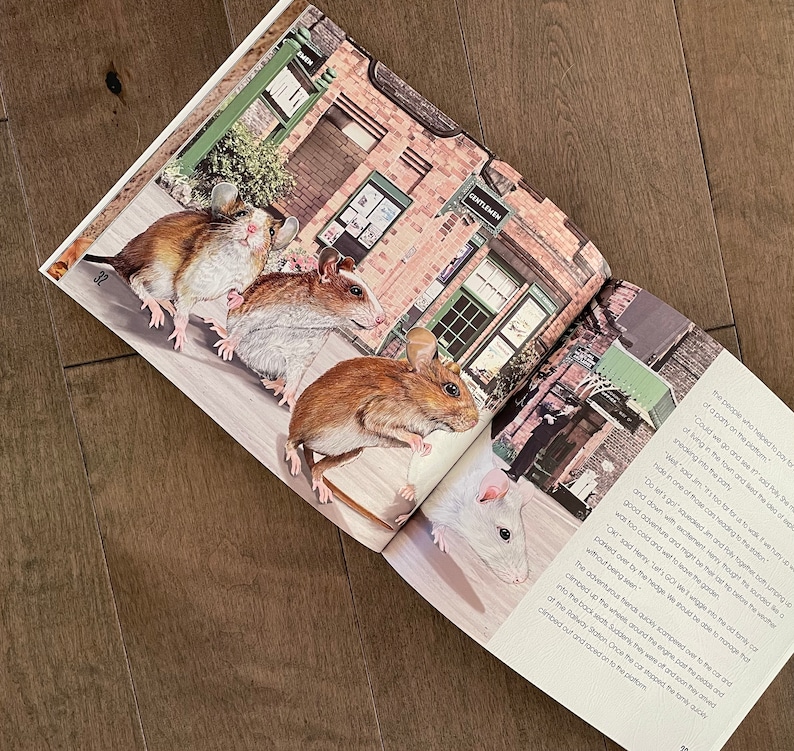 Illustrated Childrens Book, Mouse Adventures, Making Friends, Gift for ...