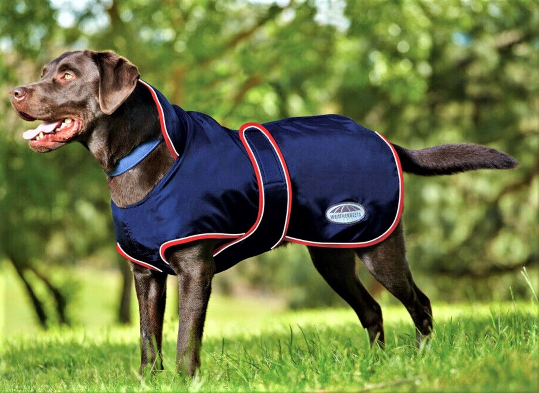 WEATHERBEETA Lightweight Insulated Exercise Coat Designed for Outdoors ...
