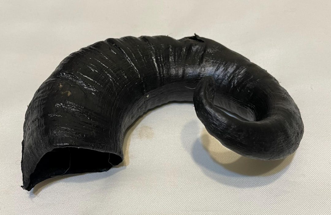 Rams Horn Sheep Horn Black Welsh Mountain Horn - Etsy