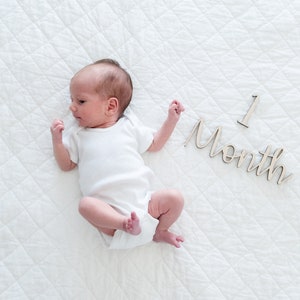 Monthly Photo Props, Milestone Marker, Baby Gift, Baby Milestone, Baby ...