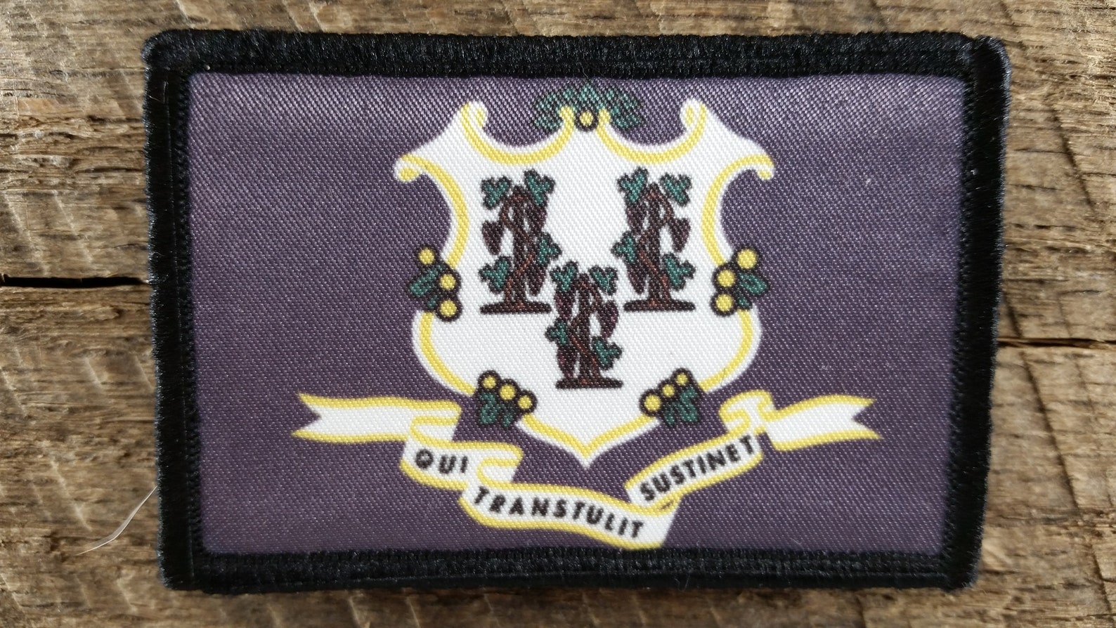 State Flag Patch: Alabama-georgia - Etsy