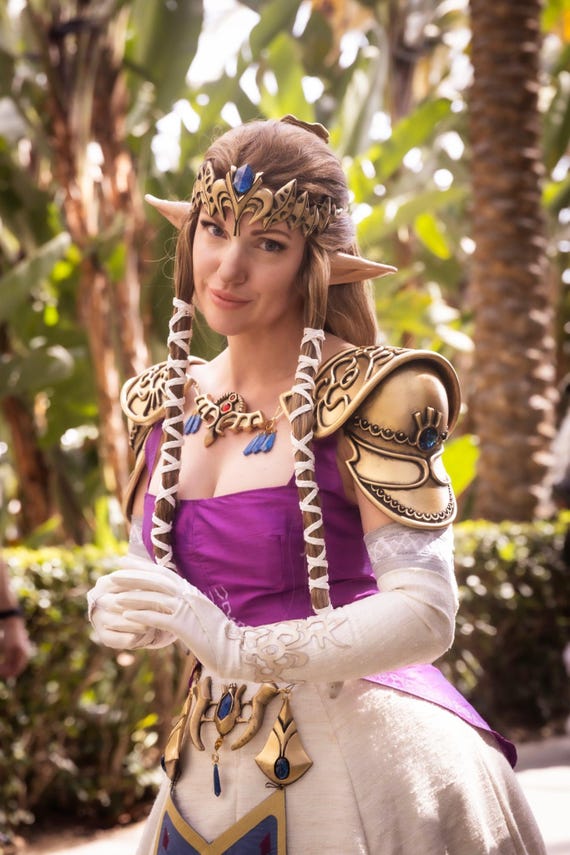 Princess Zelda Twilight Princess Costume