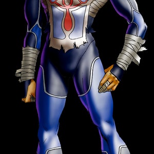 Zelda Cosplay Costume - Ocarina of Time Sheik Sheikah Eye Detail ...