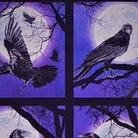 The Raven Fabric Panel, Quilt Panel, Quality Quilting Cotton Fabric ...