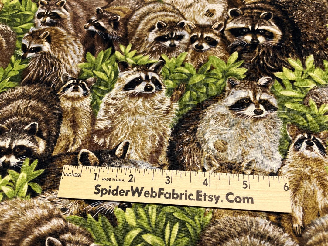 GOT RACCOONS? Fabric Raccoon Backyard Bandits Woods Forest Woodland ...