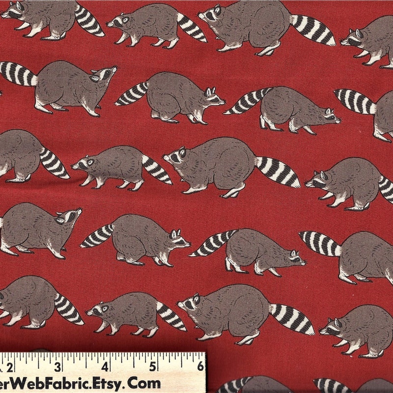 Raccoon Panel - Etsy