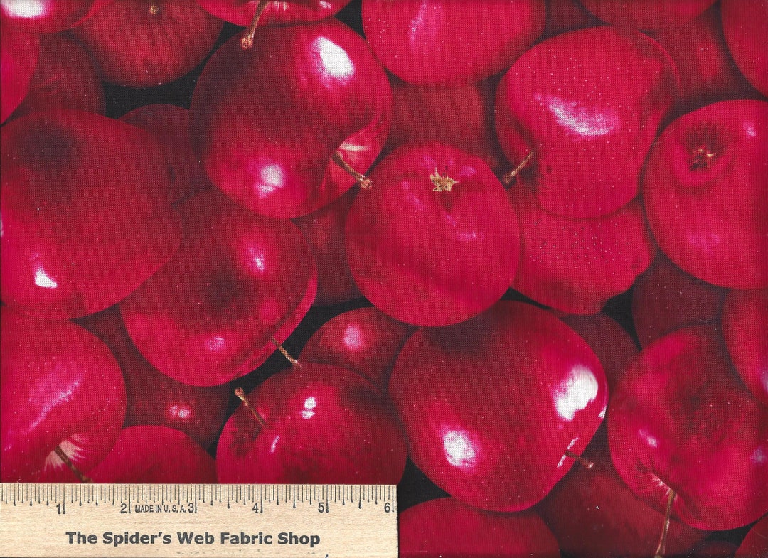 APPLES Fabric - Red Delicious Apples - Fruit - Food - Snacks - Treats ...