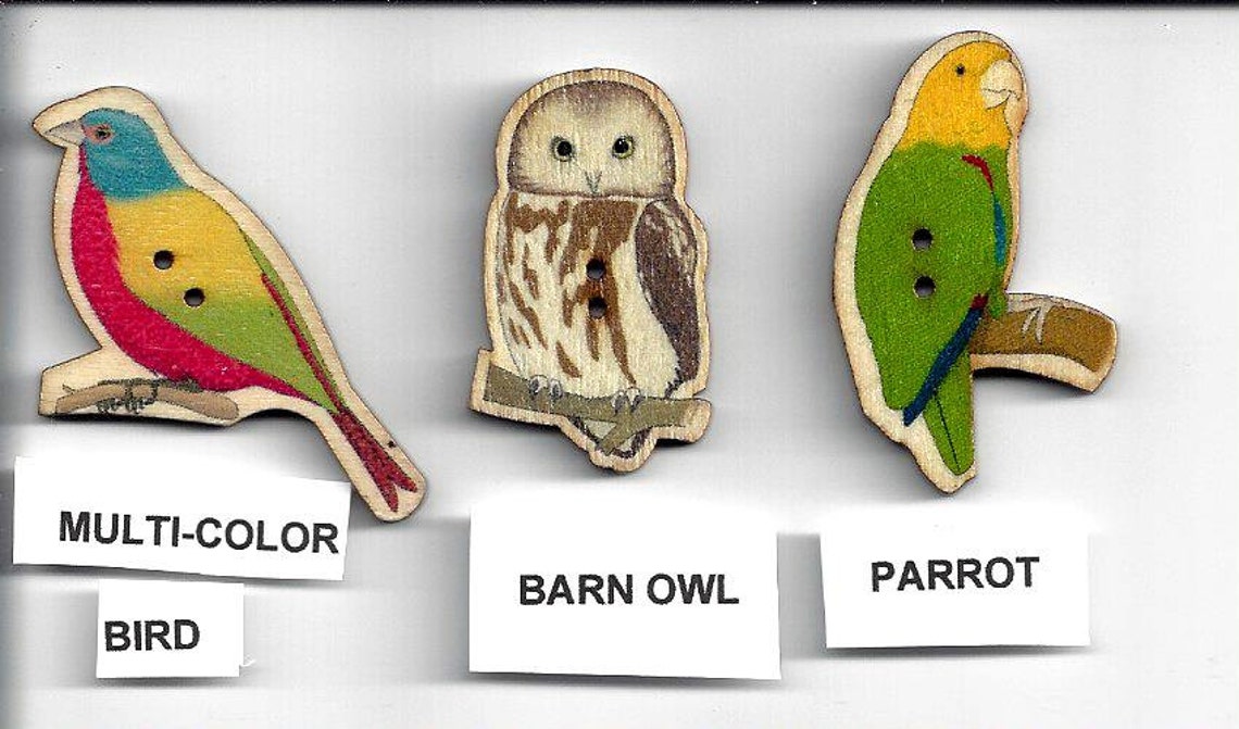 WOODEN Assorted BIRD BUTTONS 2 Hole Sew Through Painted - Etsy