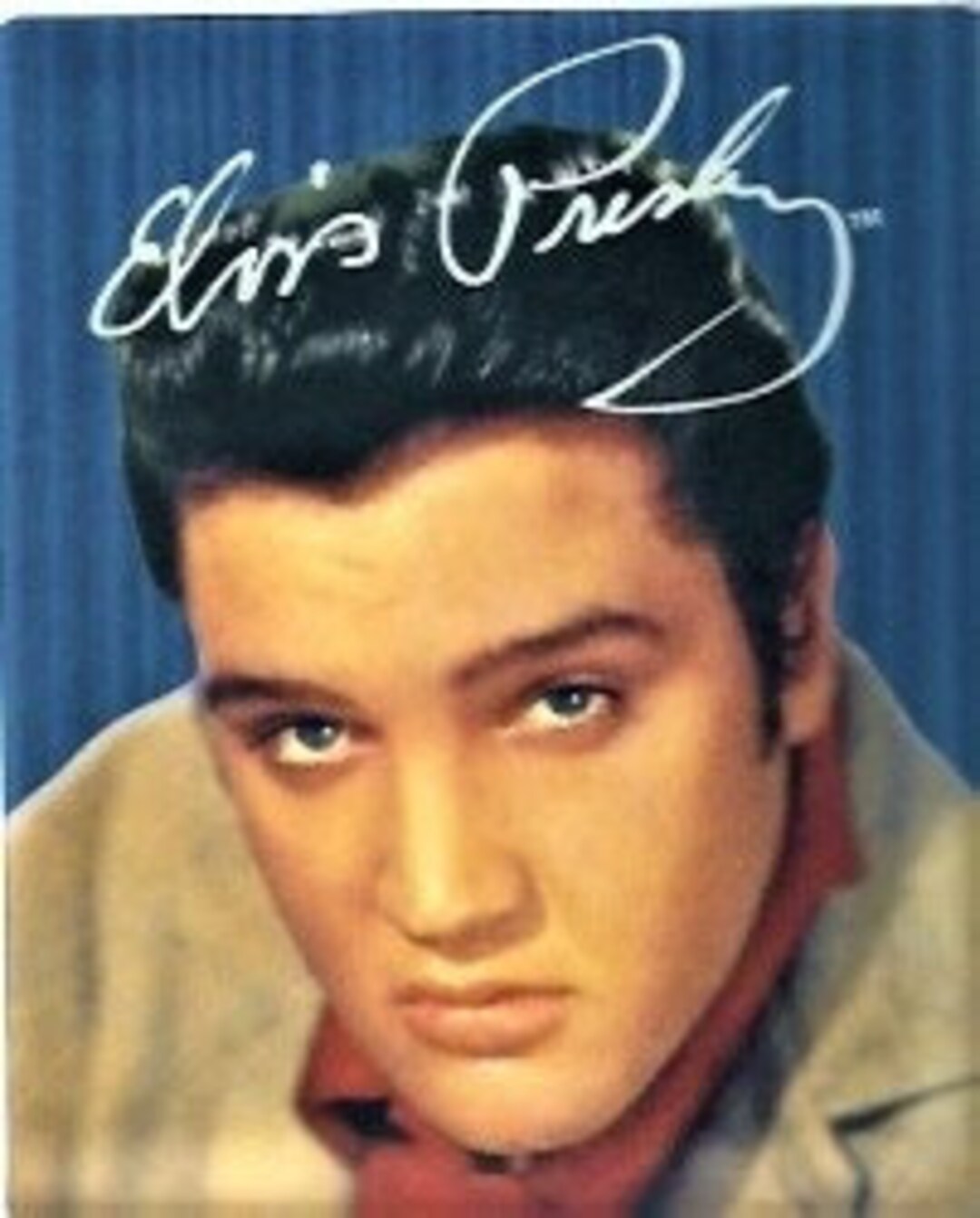 ELVIS FACE Fabric Panel - FLEECE - Picture Shows Entire Panel - 48 ...