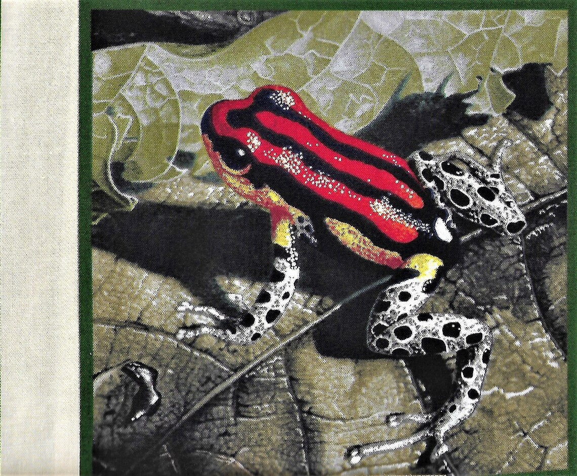 No. 157 AMAZING FROGS Panel Fabric 15 Different Frog - Etsy