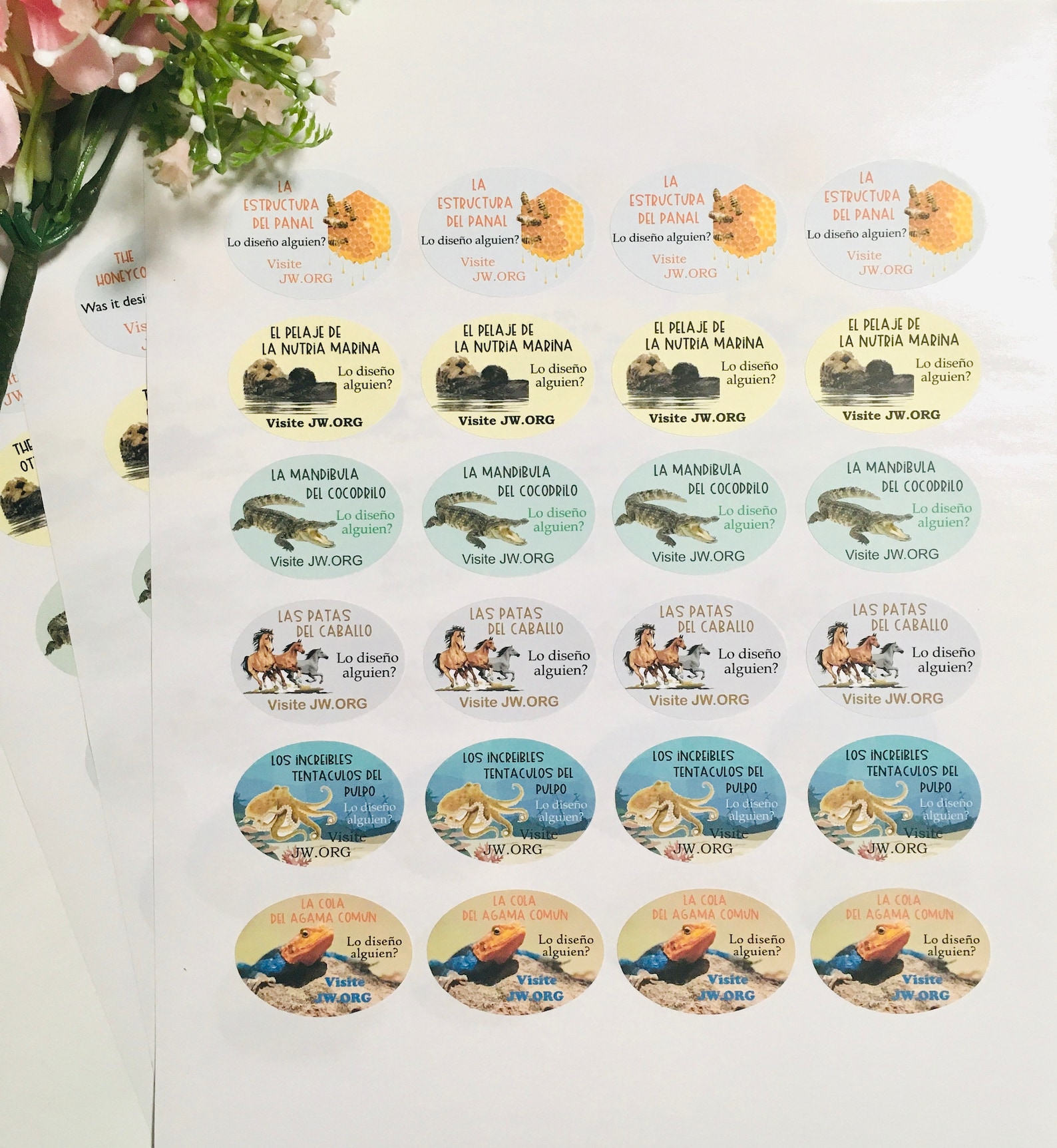 New Design Sticker Jw Jw Stickers JW Stickers Was It Designed English ...