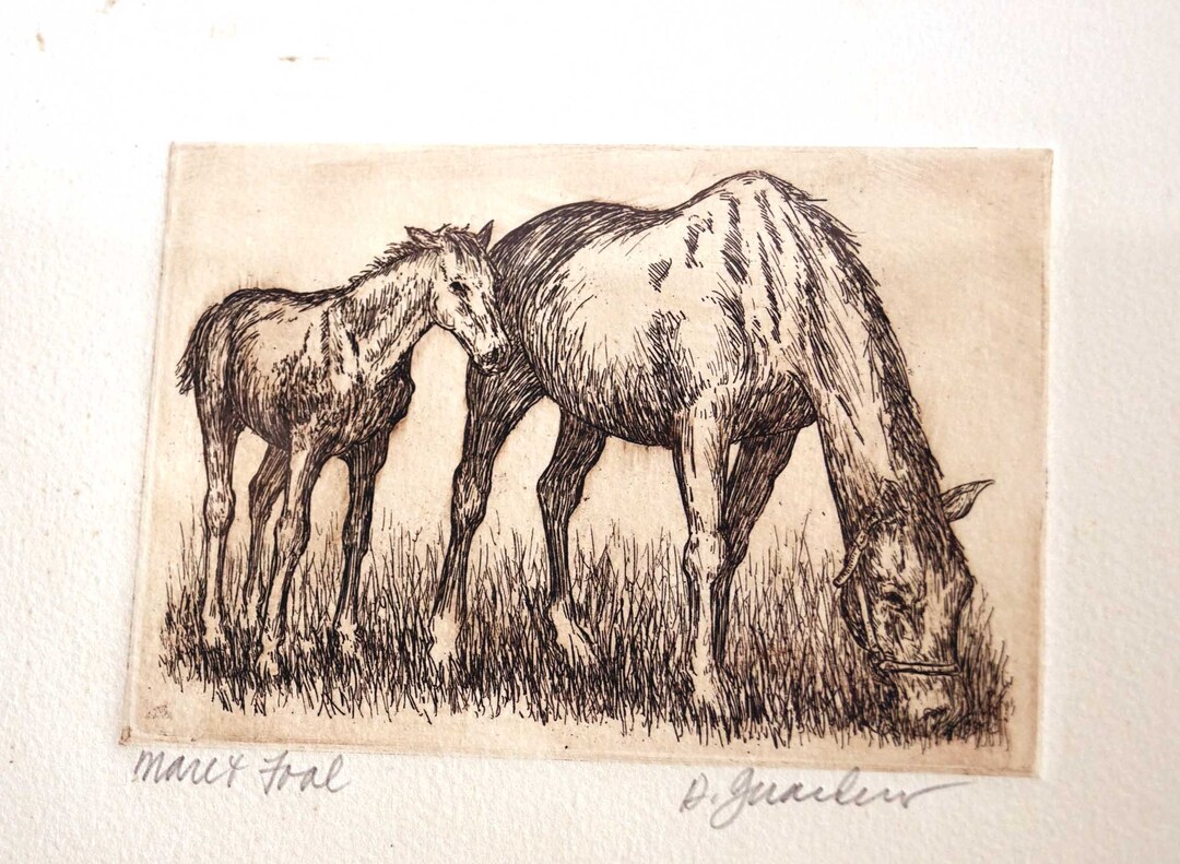 D. GUARDINO SIGNED ENGRAVING donna Guardino Vintage 1970's mare & Foal ...