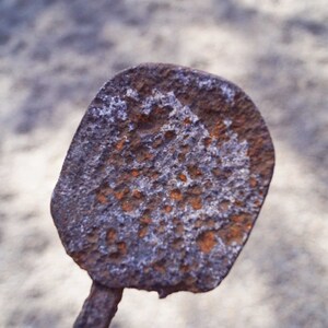 HAND FORGED C. I. ROD: Rare 1800’s Antique for Searing Meat, or so I’ve ...