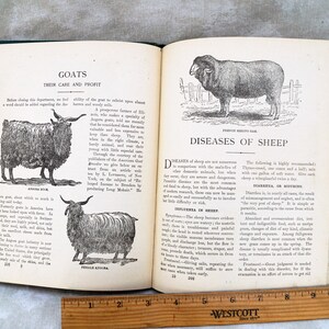 1903 the HOME ENCYCLOPEDIA of Useful INFORMATION-A Guide to Success ...