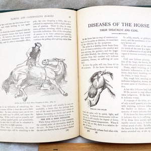1903 the HOME ENCYCLOPEDIA of Useful INFORMATION-A Guide to Success, twelve Great Books in One ...