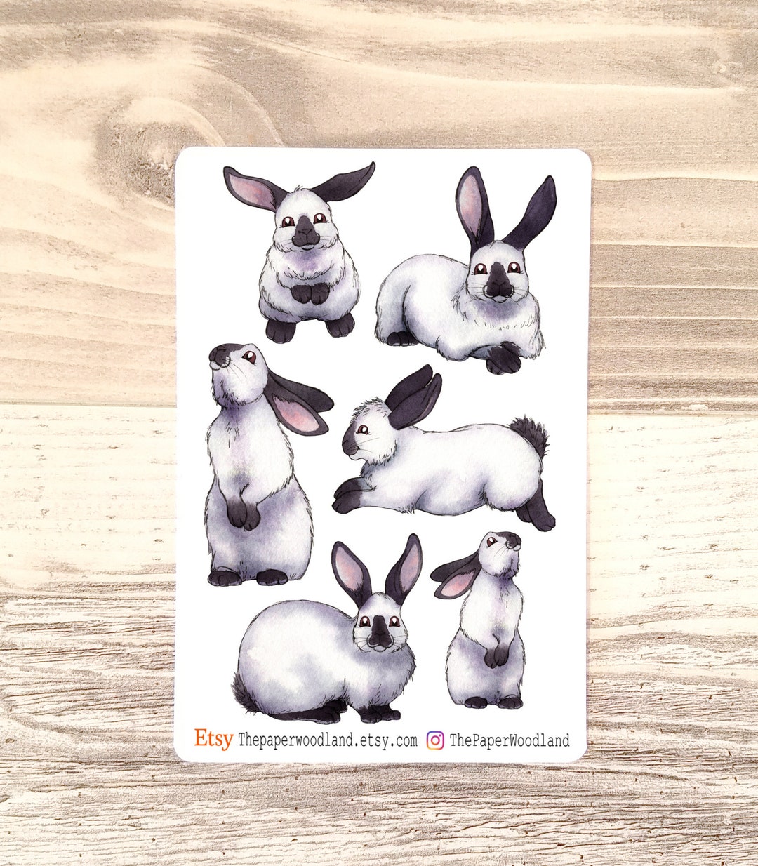 Rabbit Planner Stickers, Cute Bunny Stickers - Etsy
