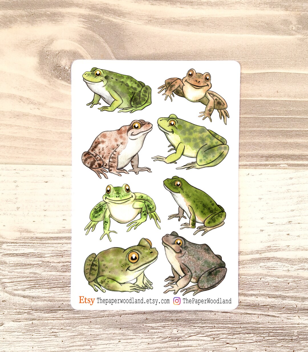 Cute Frog and Toad Stickers, Fun Watercolor Planner Amphibian Art - Etsy