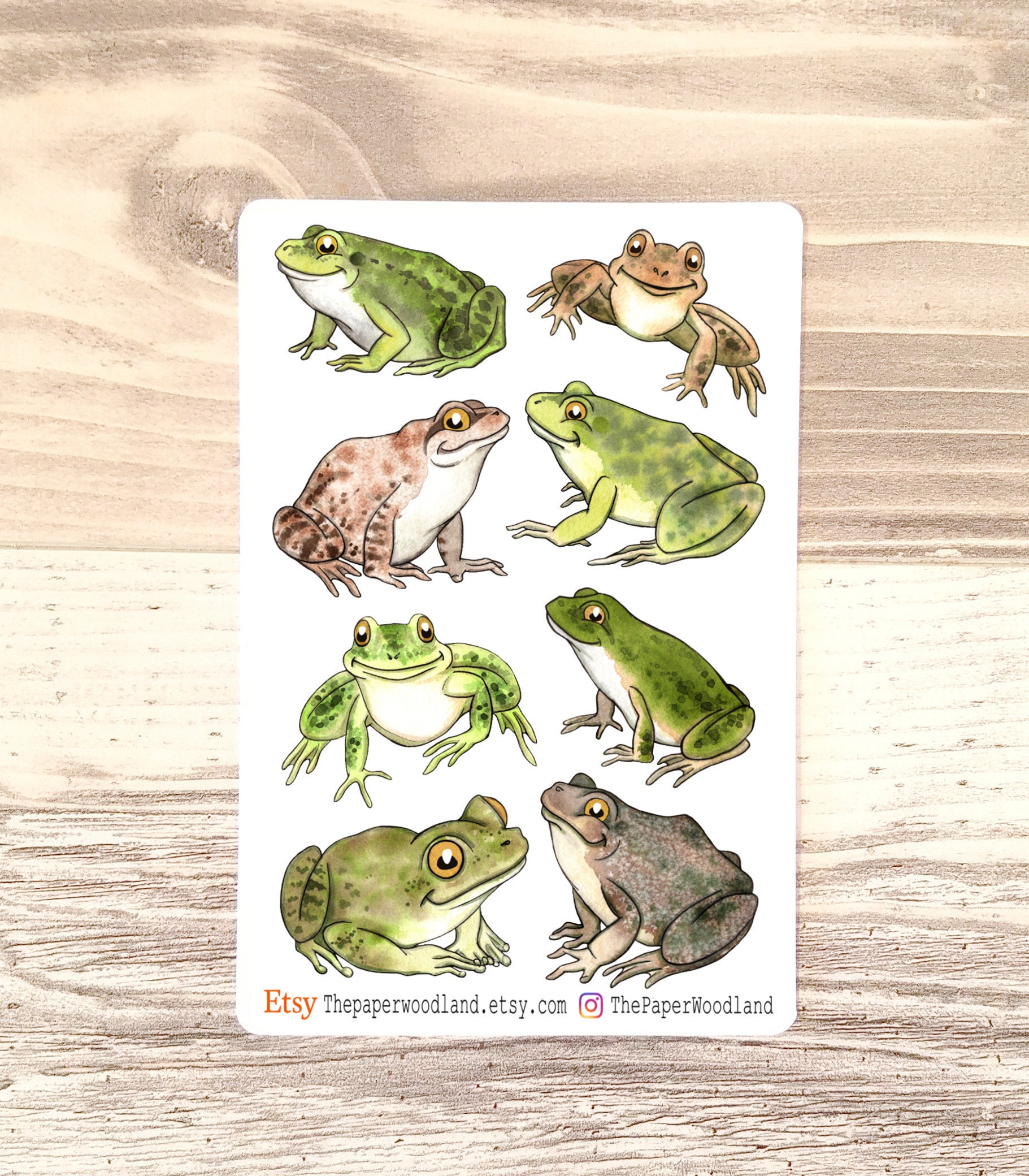 Cute Frog and Toad Stickers Fun Watercolor Planner Amphibian - Etsy
