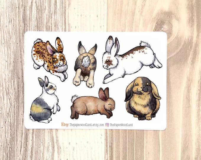 Cute Bunny Stickers Rabbit Planner Stickers Animal Stickers - Etsy