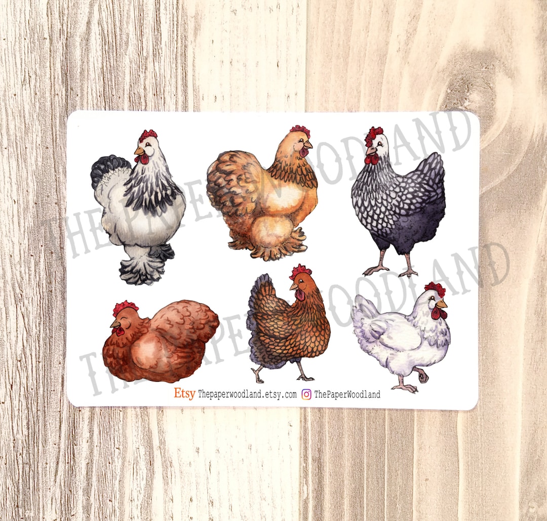 Chicken Planner Stickers, Cute Farm Stickers, Hand Drawn Watercolor Hen ...