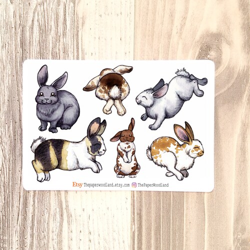Cute Bunny Stickers Rabbit Planner Stickers Animal Stickers - Etsy
