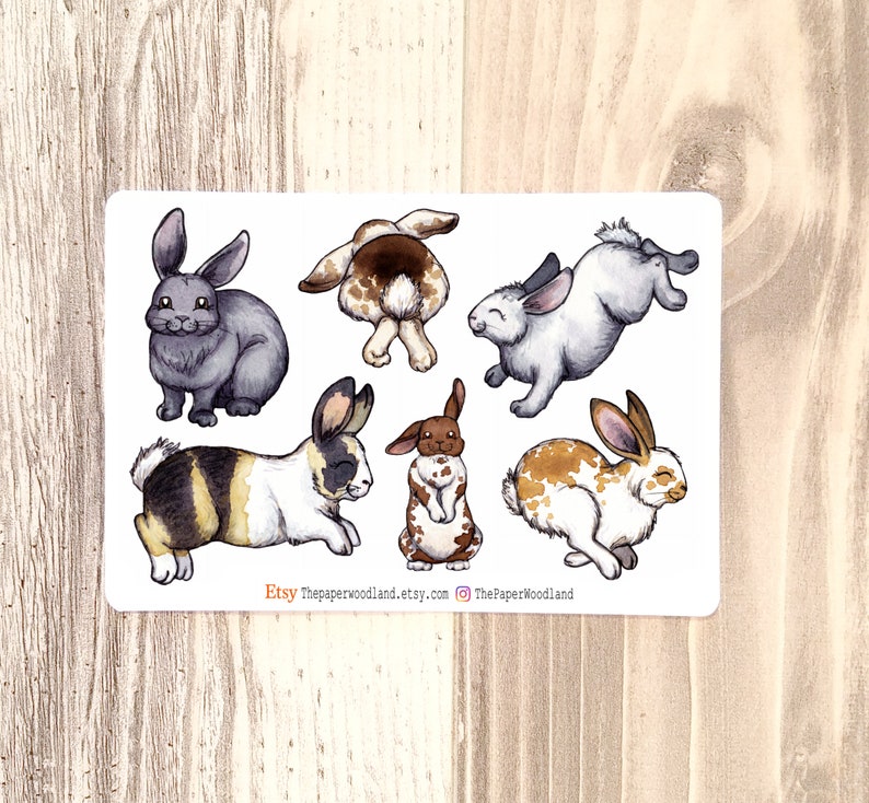 Rabbit Planner Stickers, Cute Bunny Stickers, Animal Stickers, Farm ...