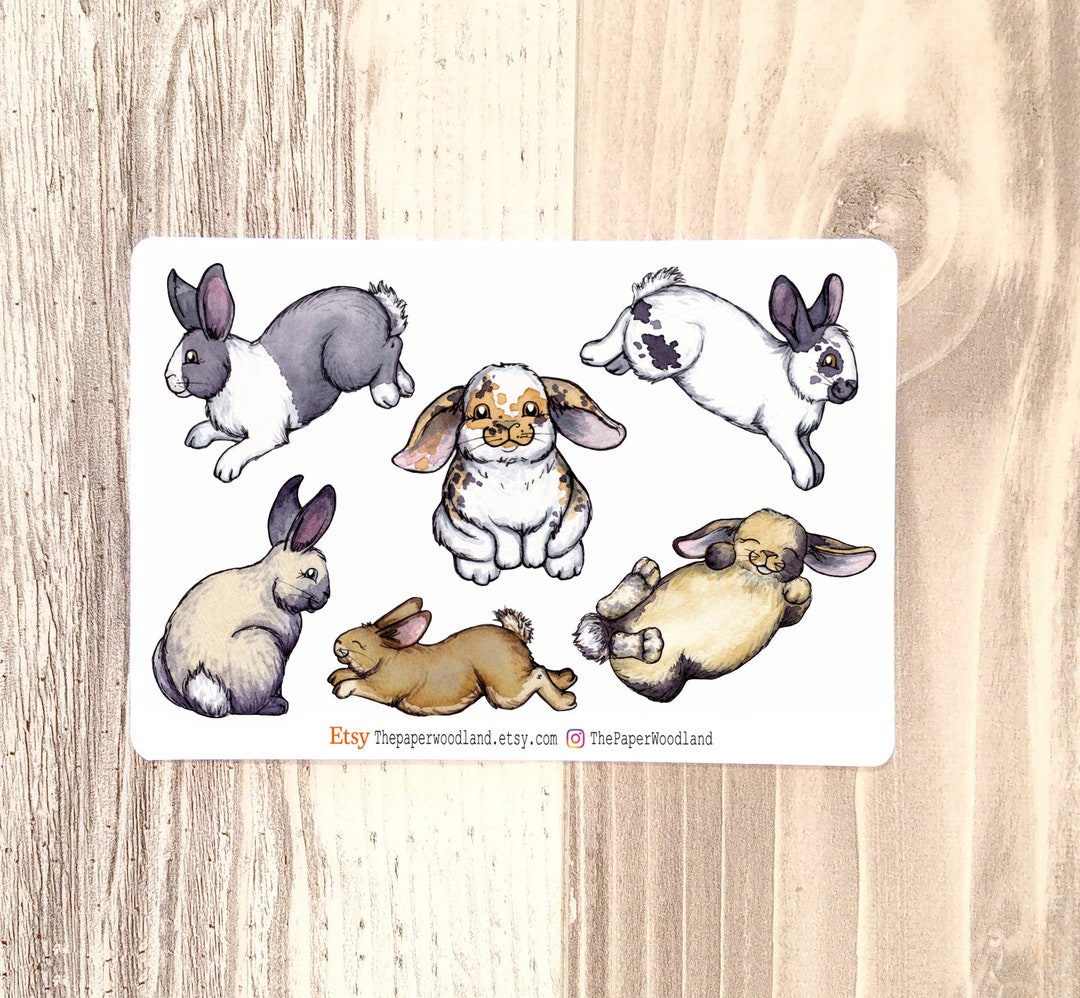 Rabbit Planner Stickers, Cute Bunny Stickers, Animal Stickers, Farm ...