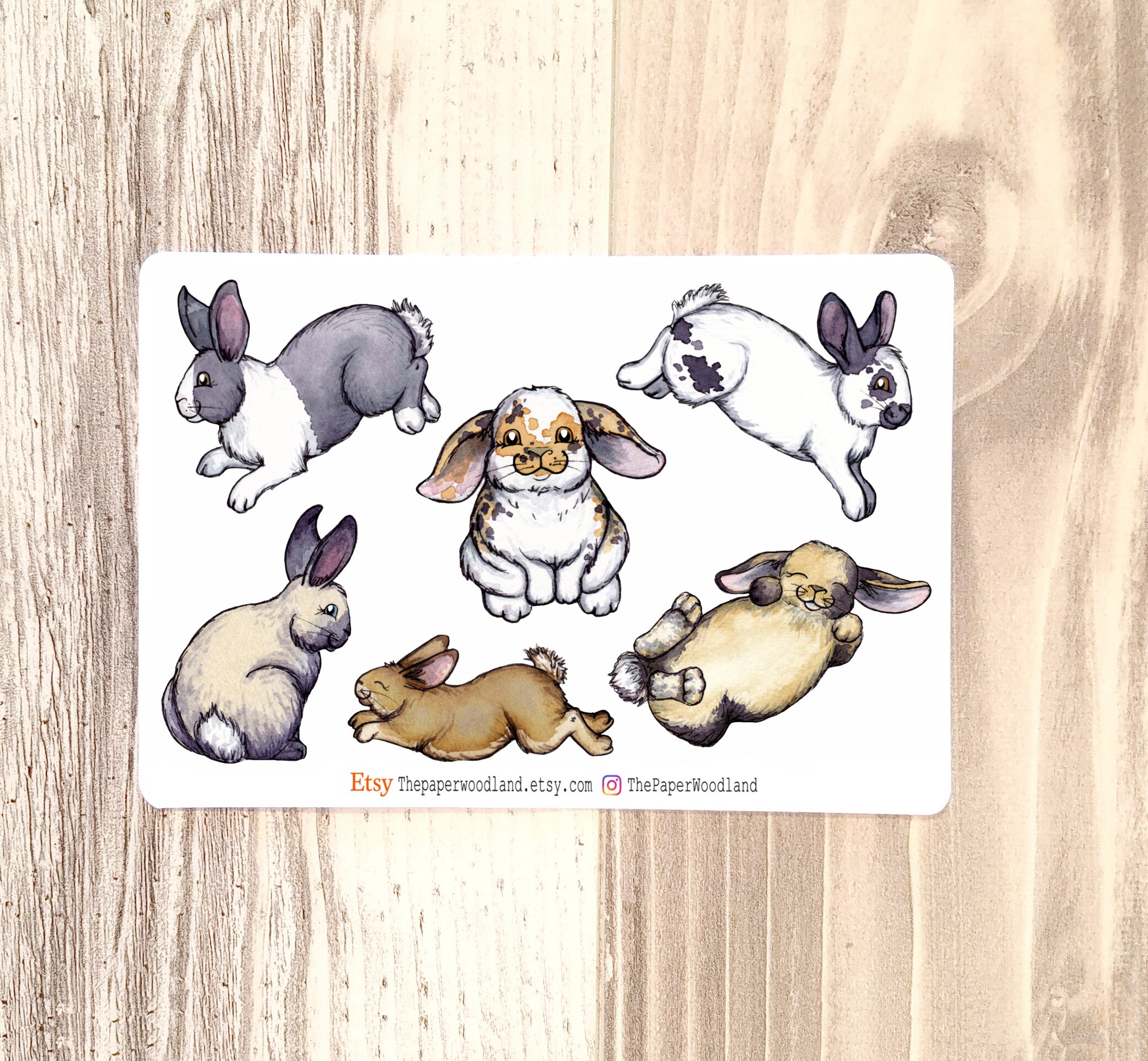 Rabbit Planner Stickers, Cute Bunny Stickers, Animal Stickers, Farm ...