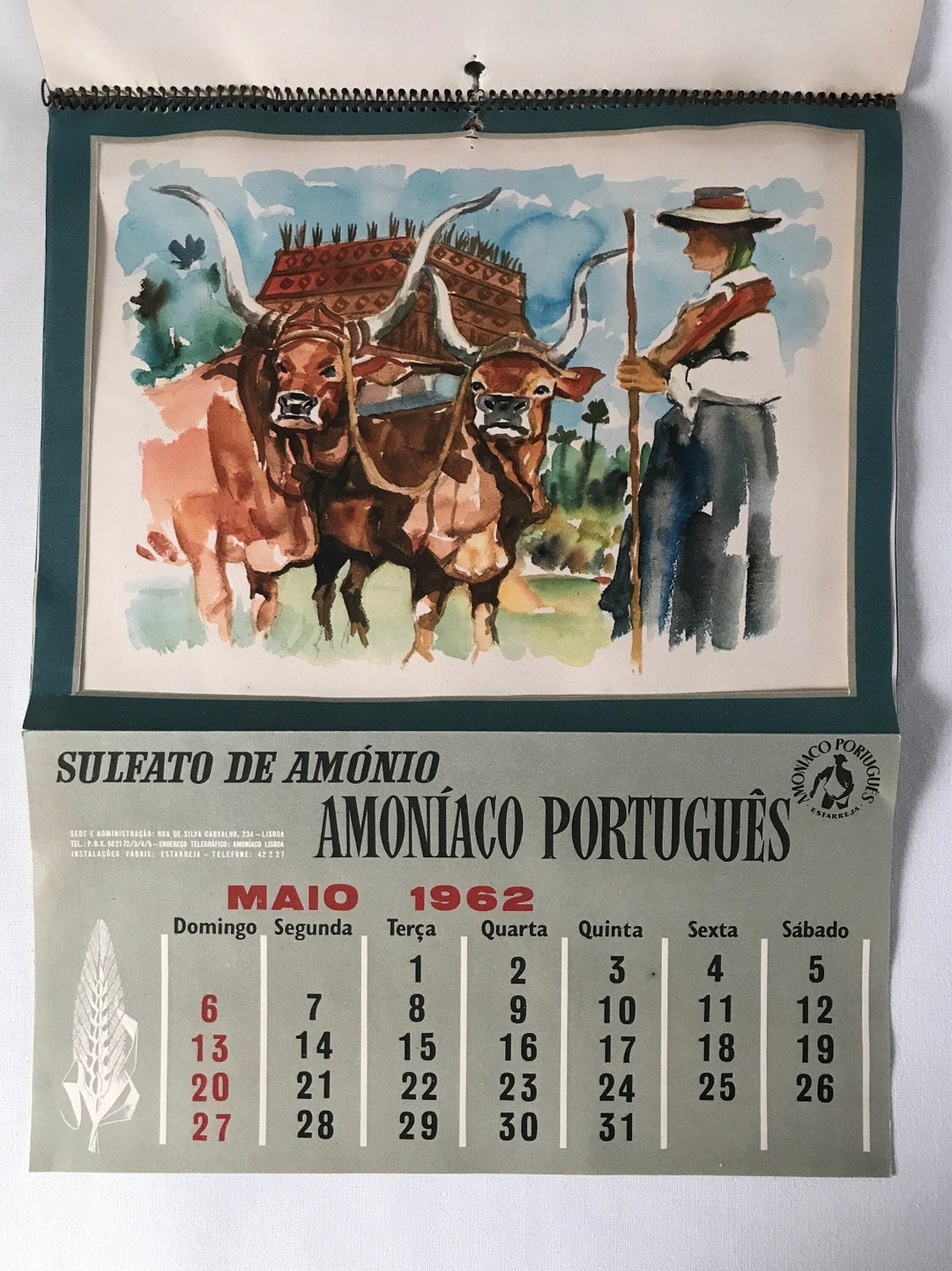 Rare 1962 Calendar by Amoníaco Português – 12 Colorful Antique ...