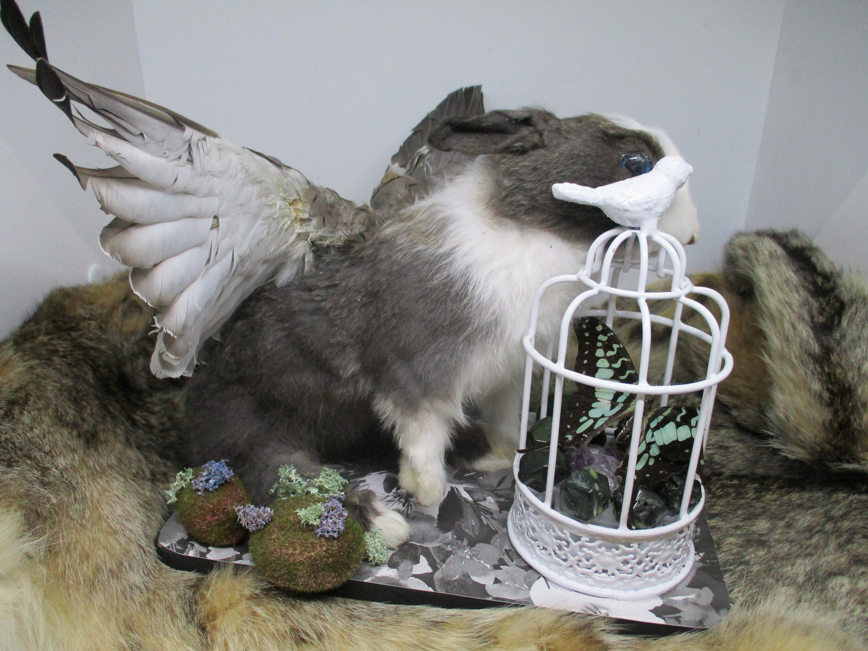Rabbit taxidermy winged bunny and butterfly | Etsy