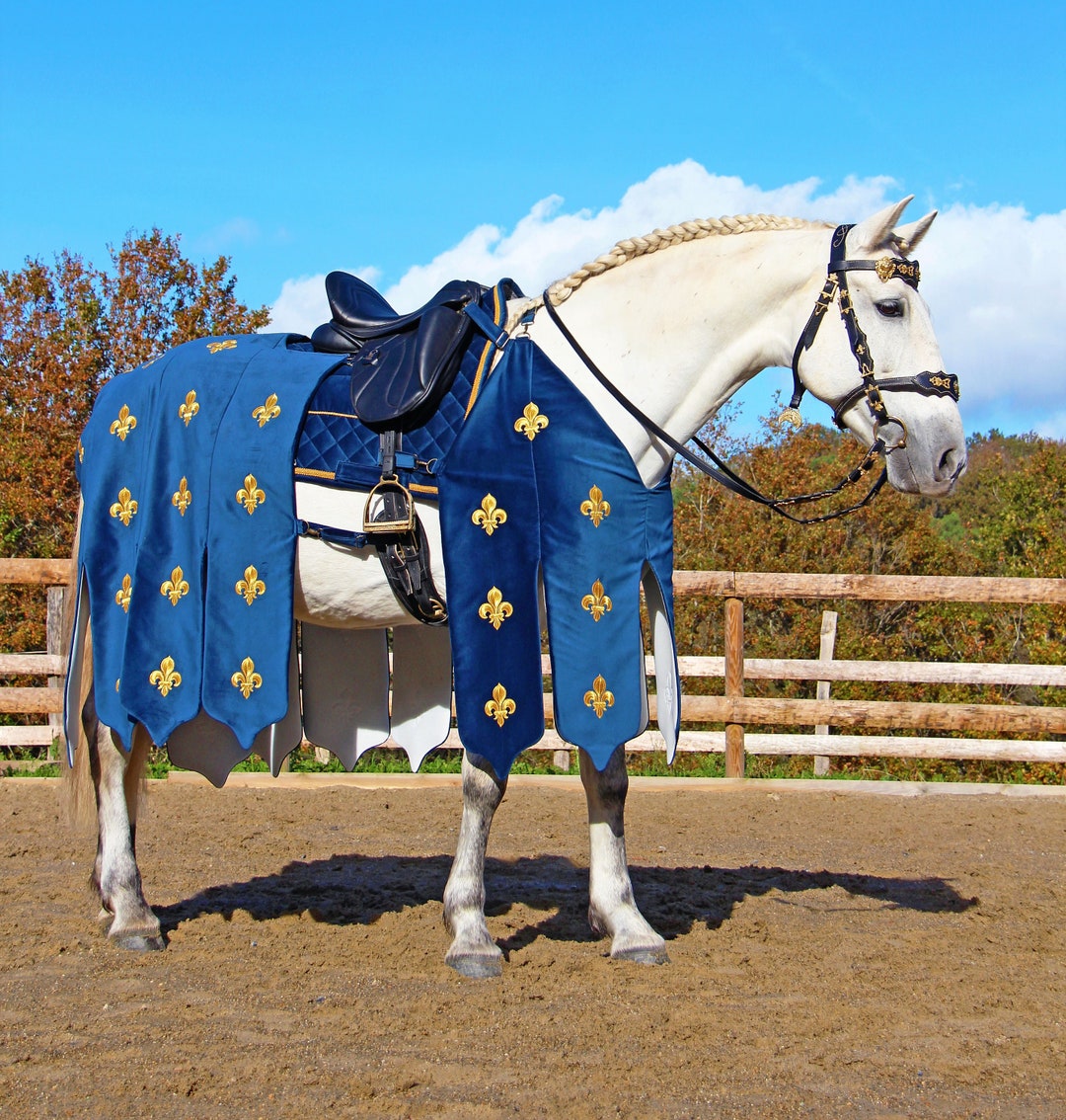 Knight Equestrian Costume - Medieval/renaissance - Navy Blue Velvet ...