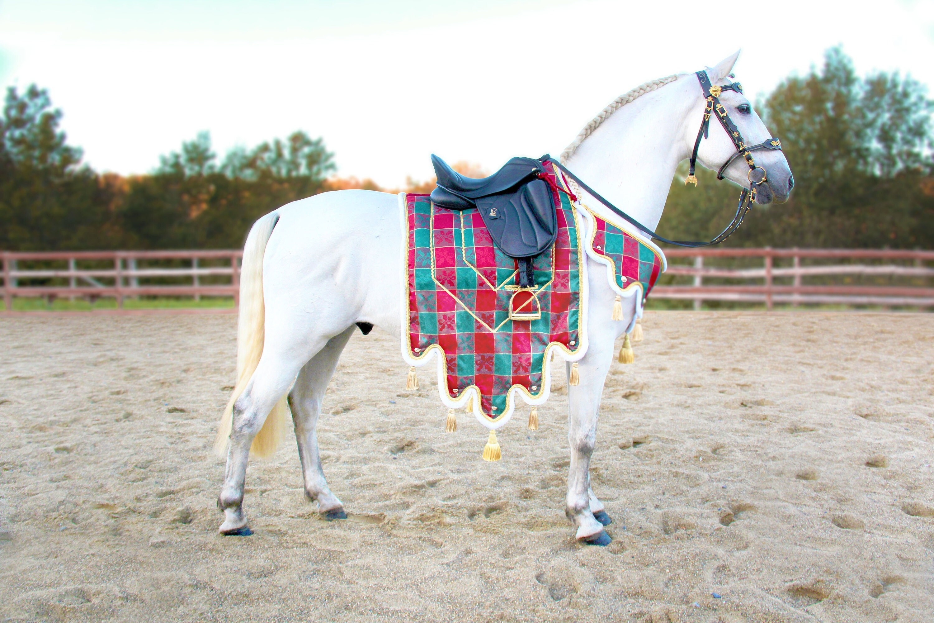 Christmas Equestrian Costume Set - Christmas Parade - Red and Green ...