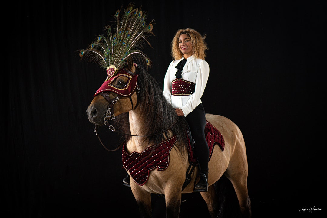 Equestrian Costume Venetian Ensemble Bordeaux - Etsy
