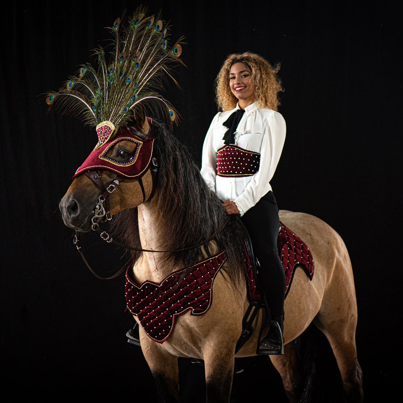 Thief Costume - Etsy