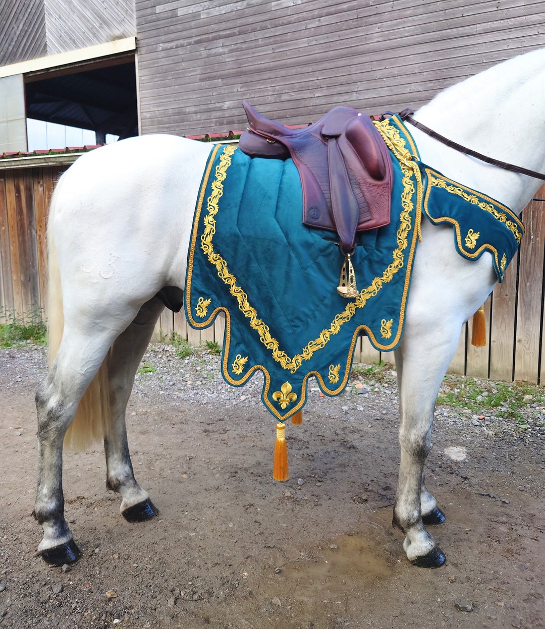 Equestrian Costume Set - Renaissance/medieval - Duck Blue and Gold ...