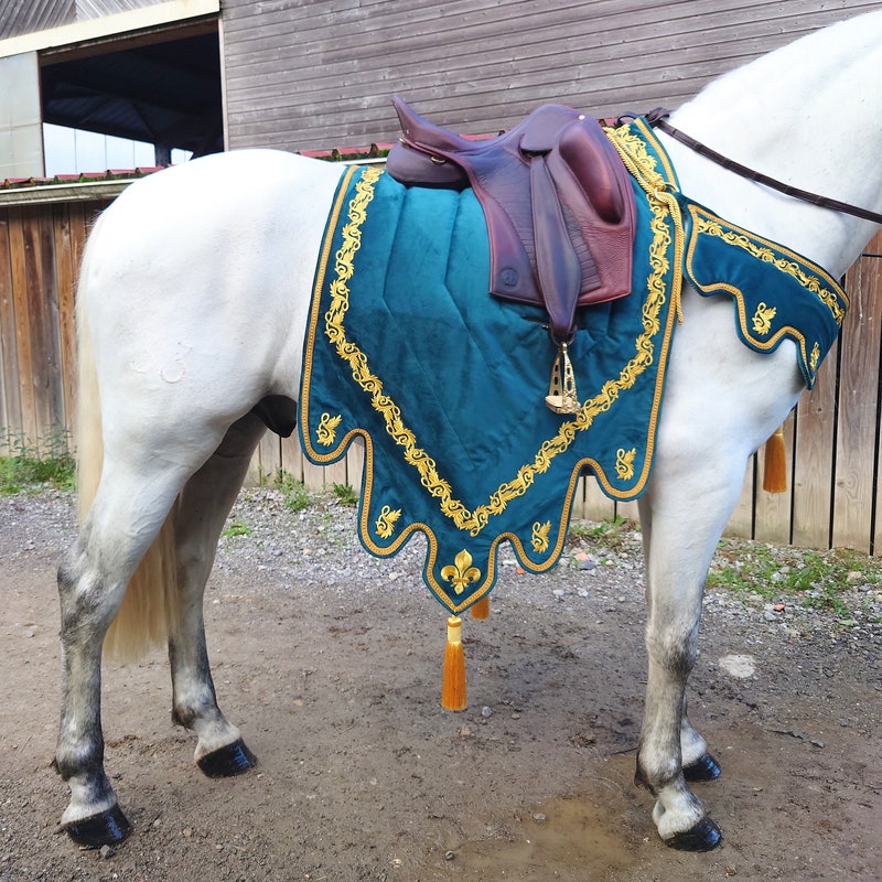 Arabian Horse Tack - Etsy