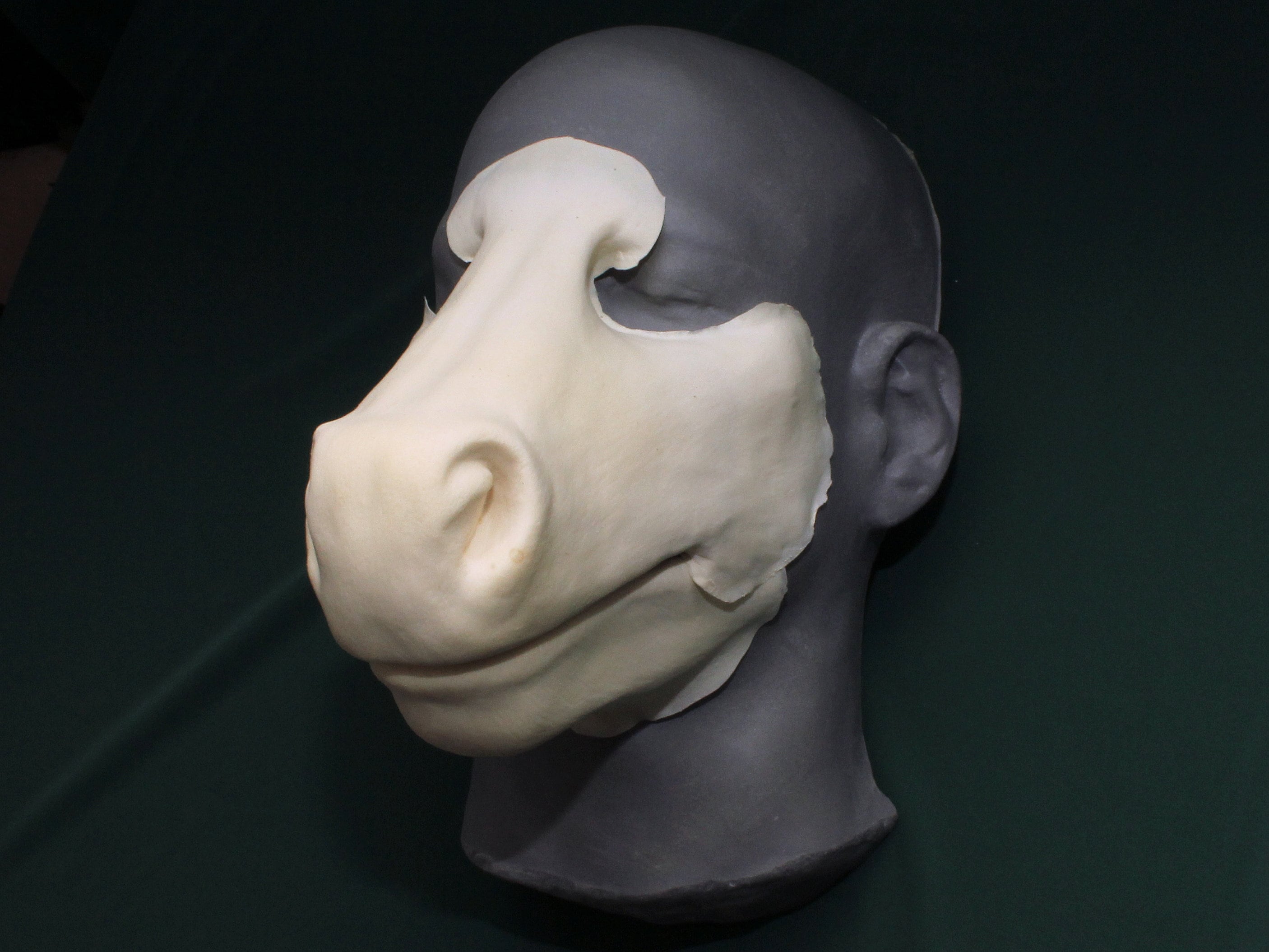 Large Horse / Donkey Muzzle - Foam Latex Prosthetic Mask - Etsy