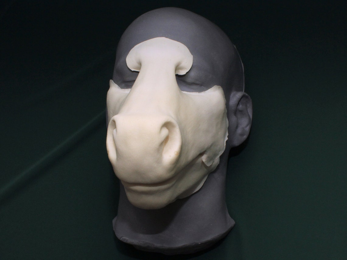 Large Horse / Donkey Muzzle - Foam Latex Prosthetic Mask - Etsy