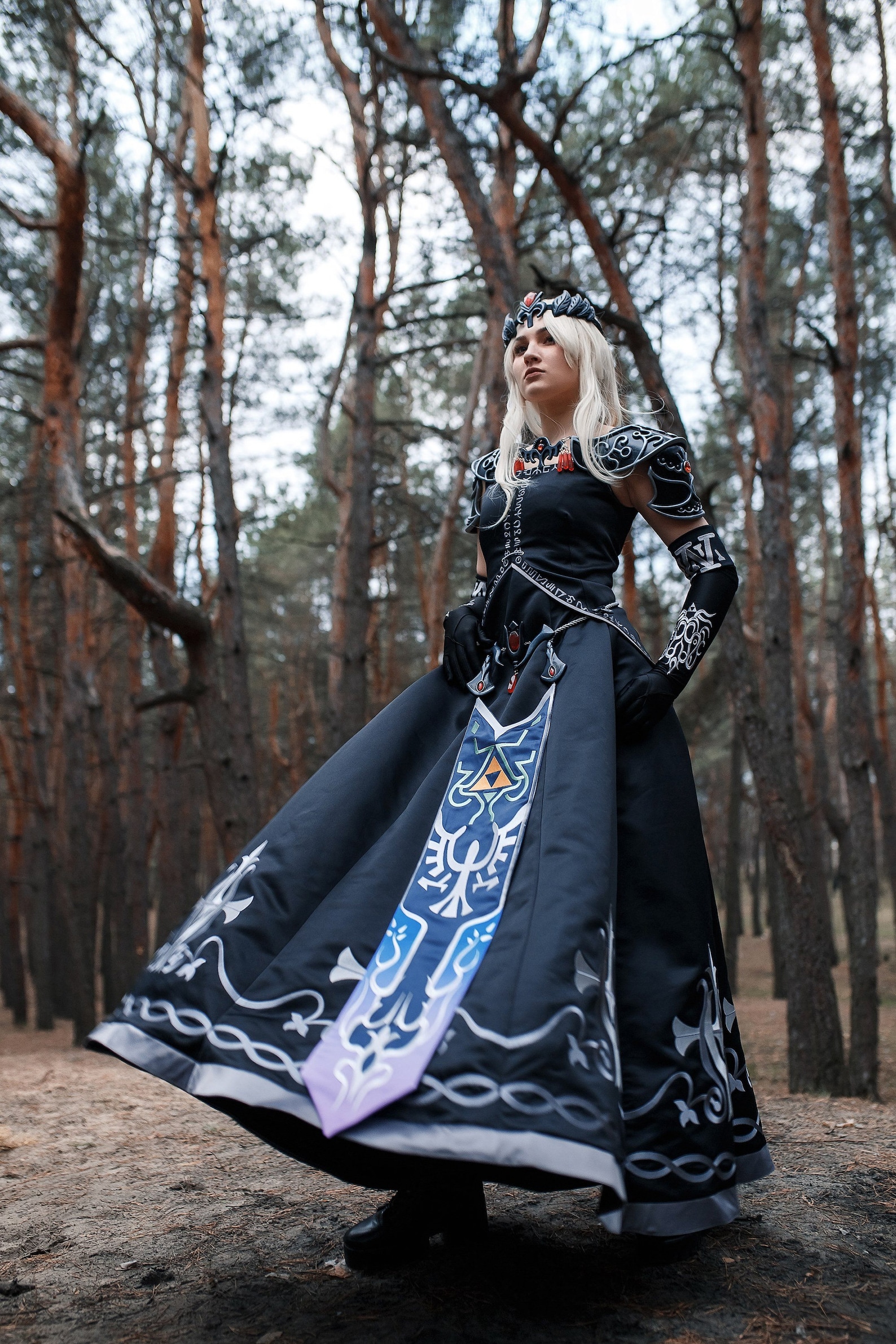 Female Character Video Game Dress Cosplay Princess Dark Zelda - Etsy