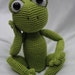 Sam the Frog Pattern - Etsy