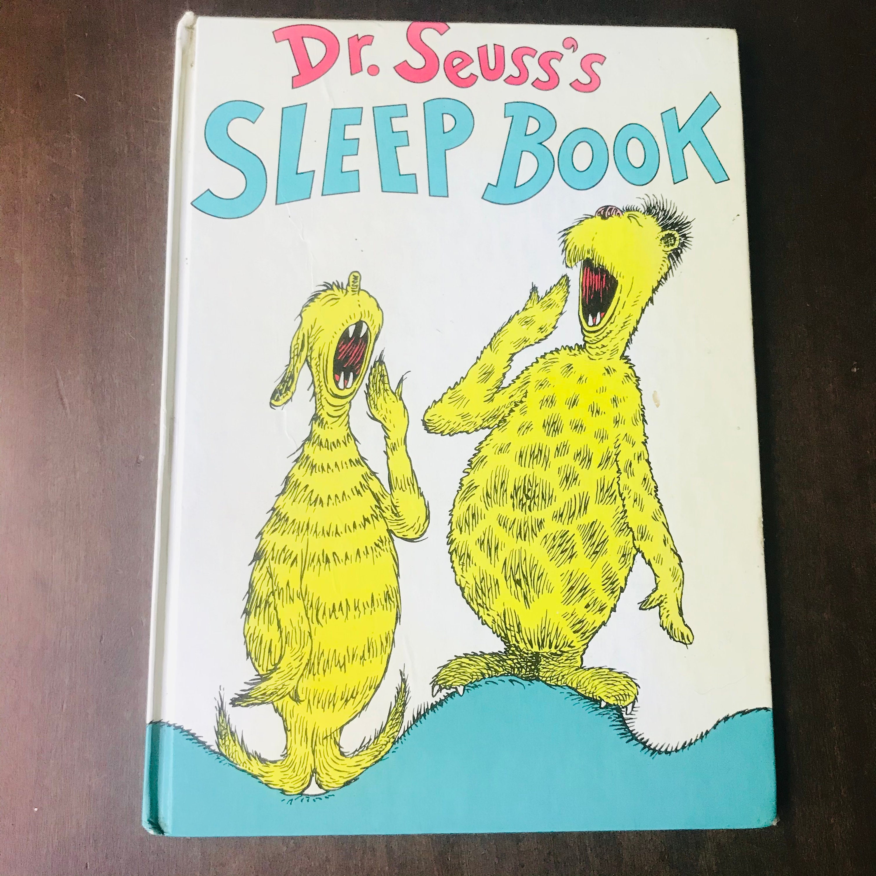 Dr Seuss's Sleep Book By Dr Seuss 1962 | Etsy