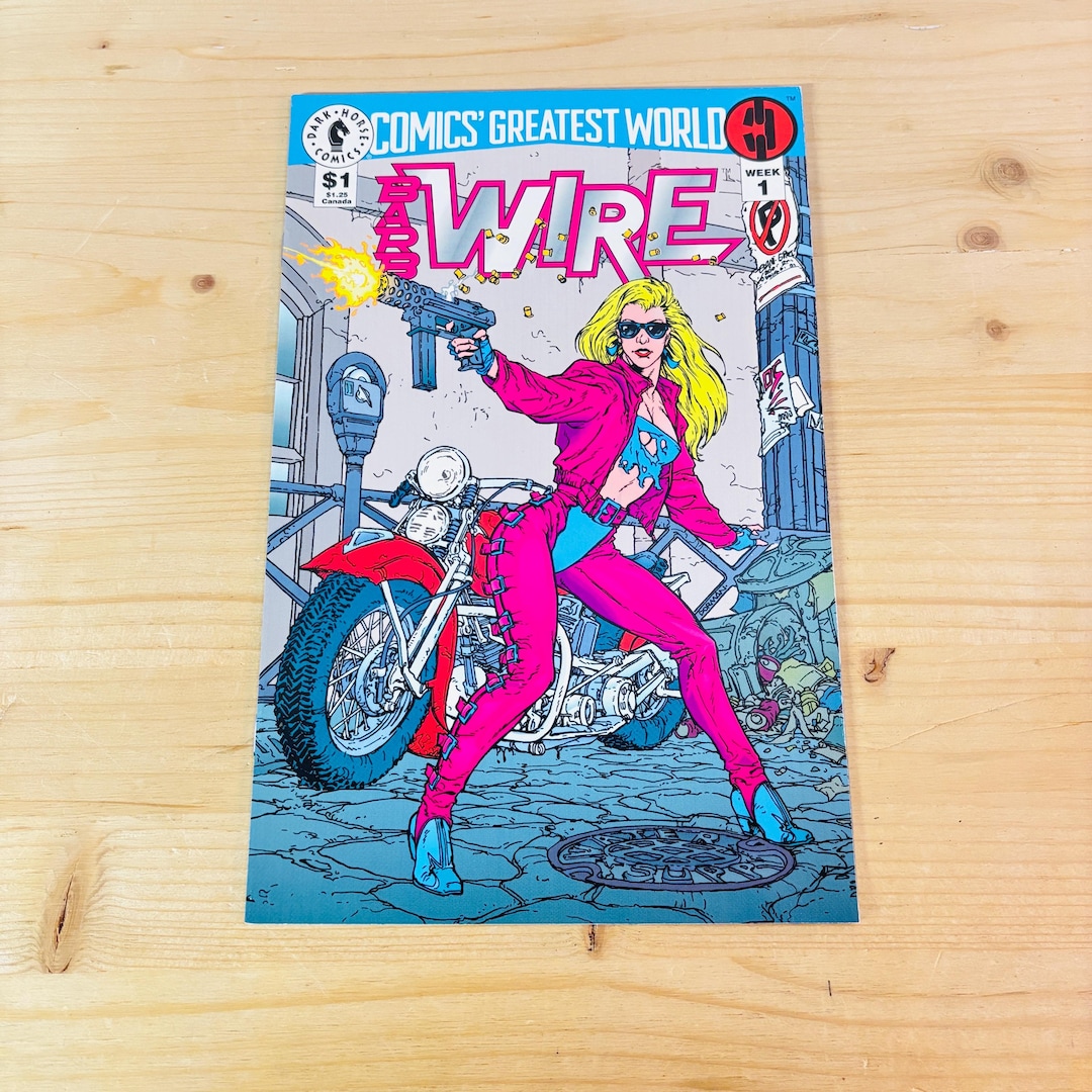 Barb Wire Comic - Etsy