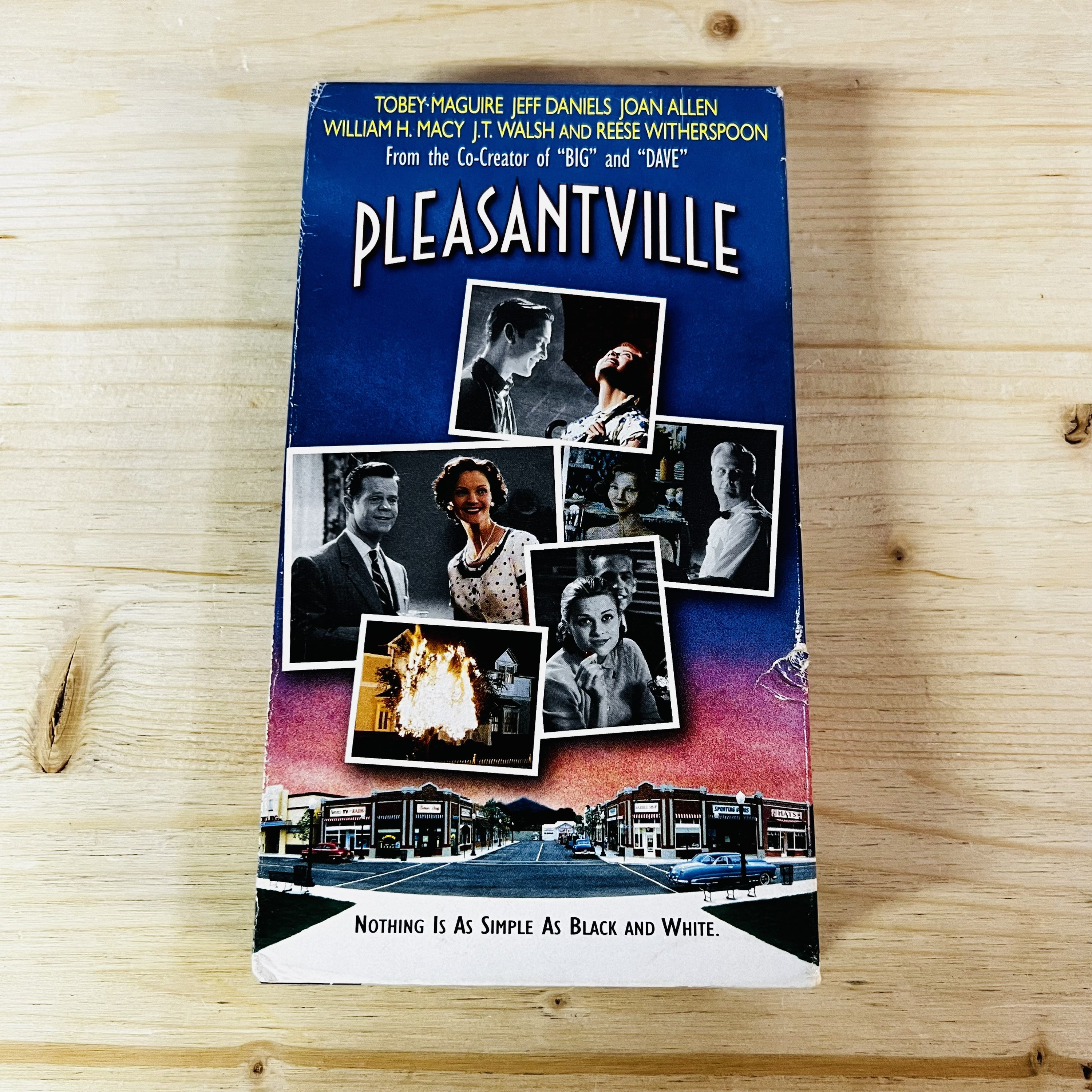 Pleasantville Poster