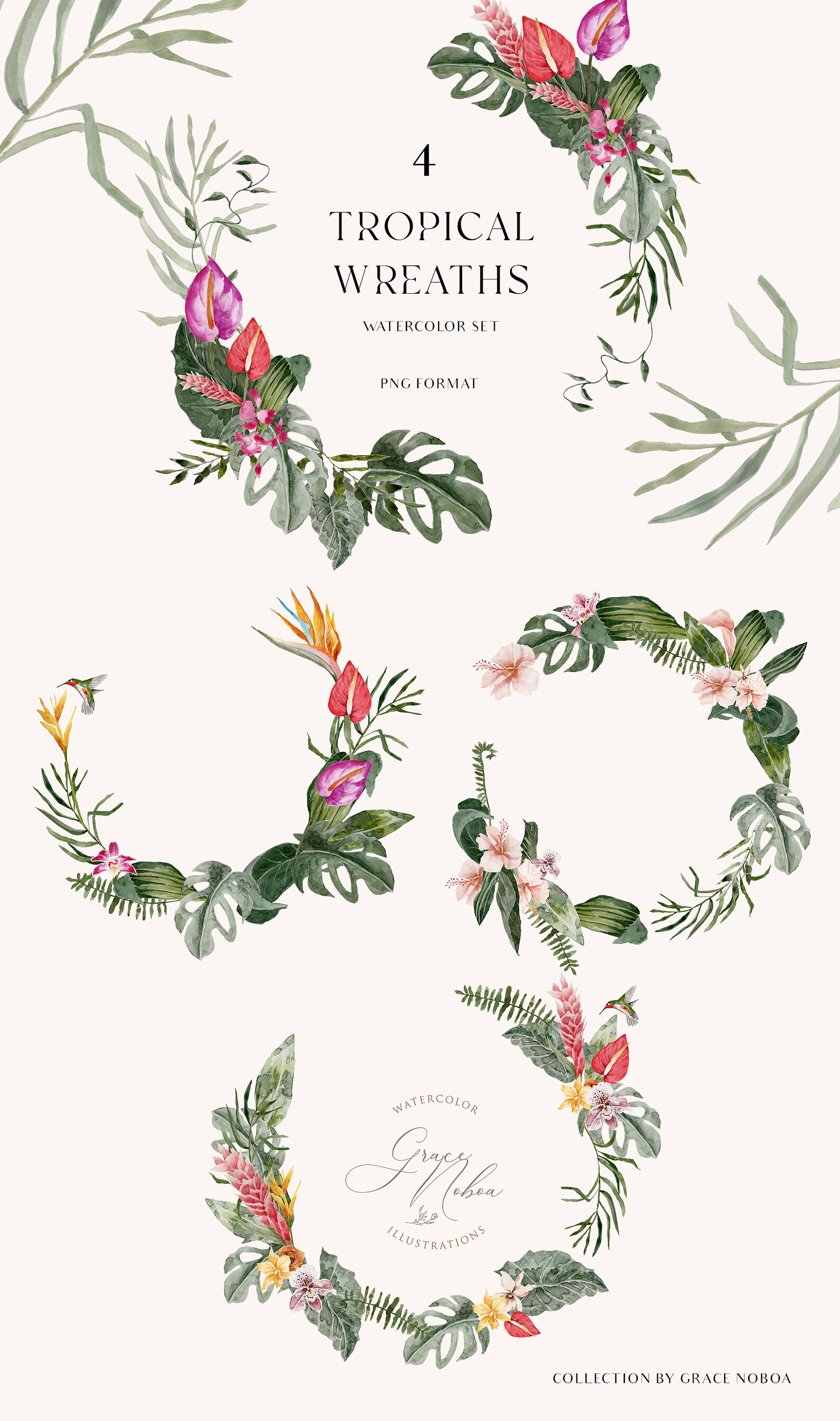 Tropical Watercolor Floral Clipart Tropical Flowers - Etsy