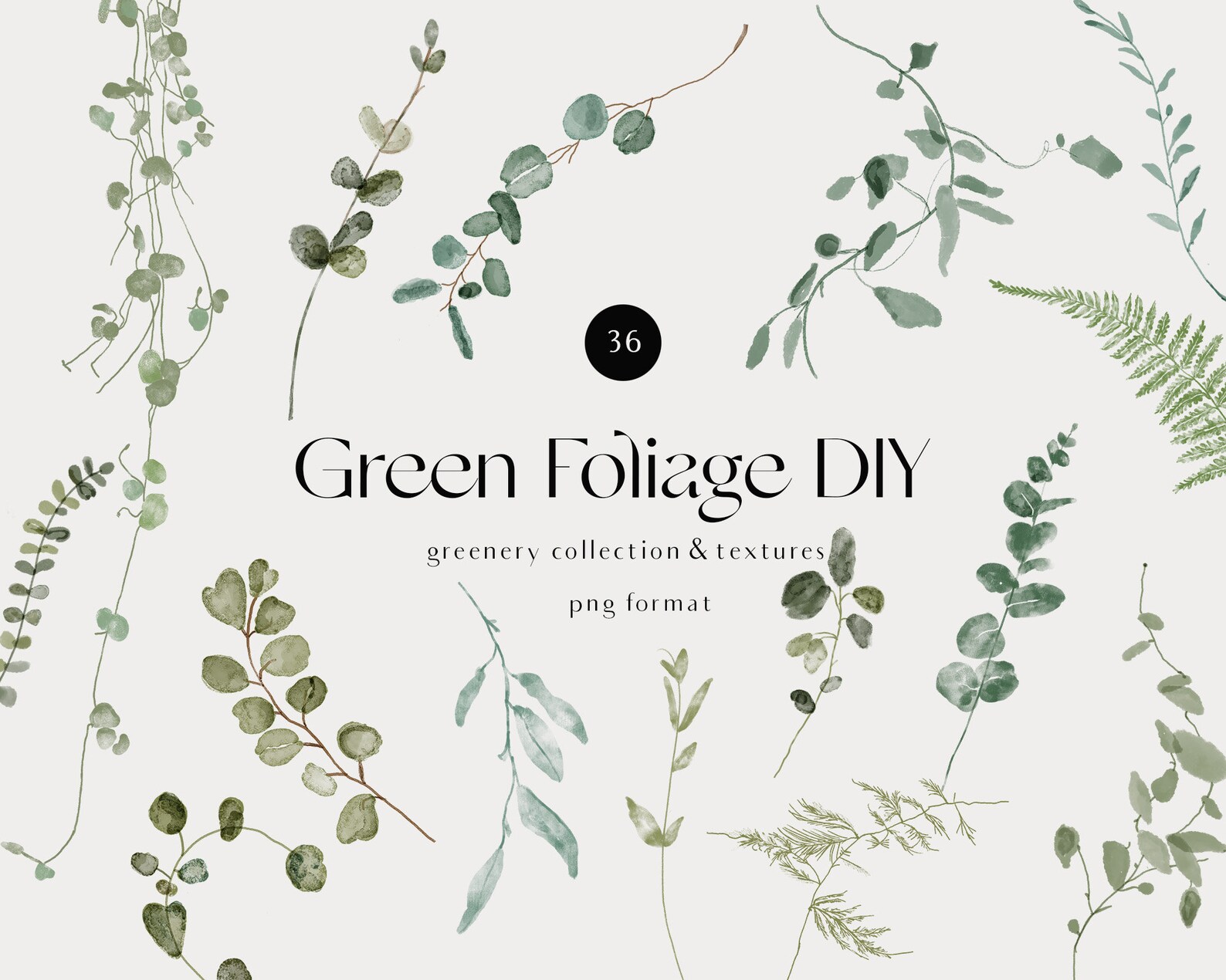 Watercolor Greenery Clipart Eucalyptus Clipart Foliage - Etsy