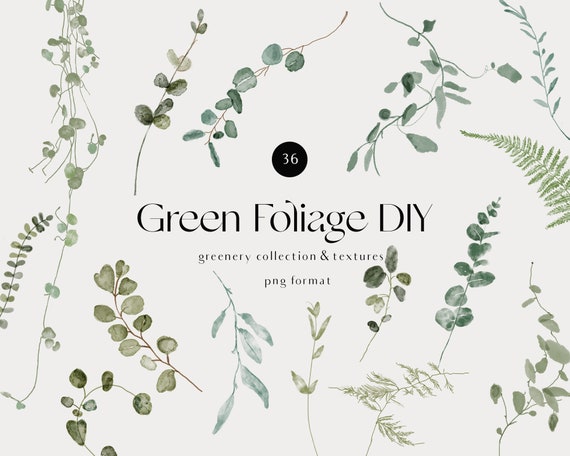 Watercolor Greenery Clipart Eucalyptus Clipart Foliage - Etsy