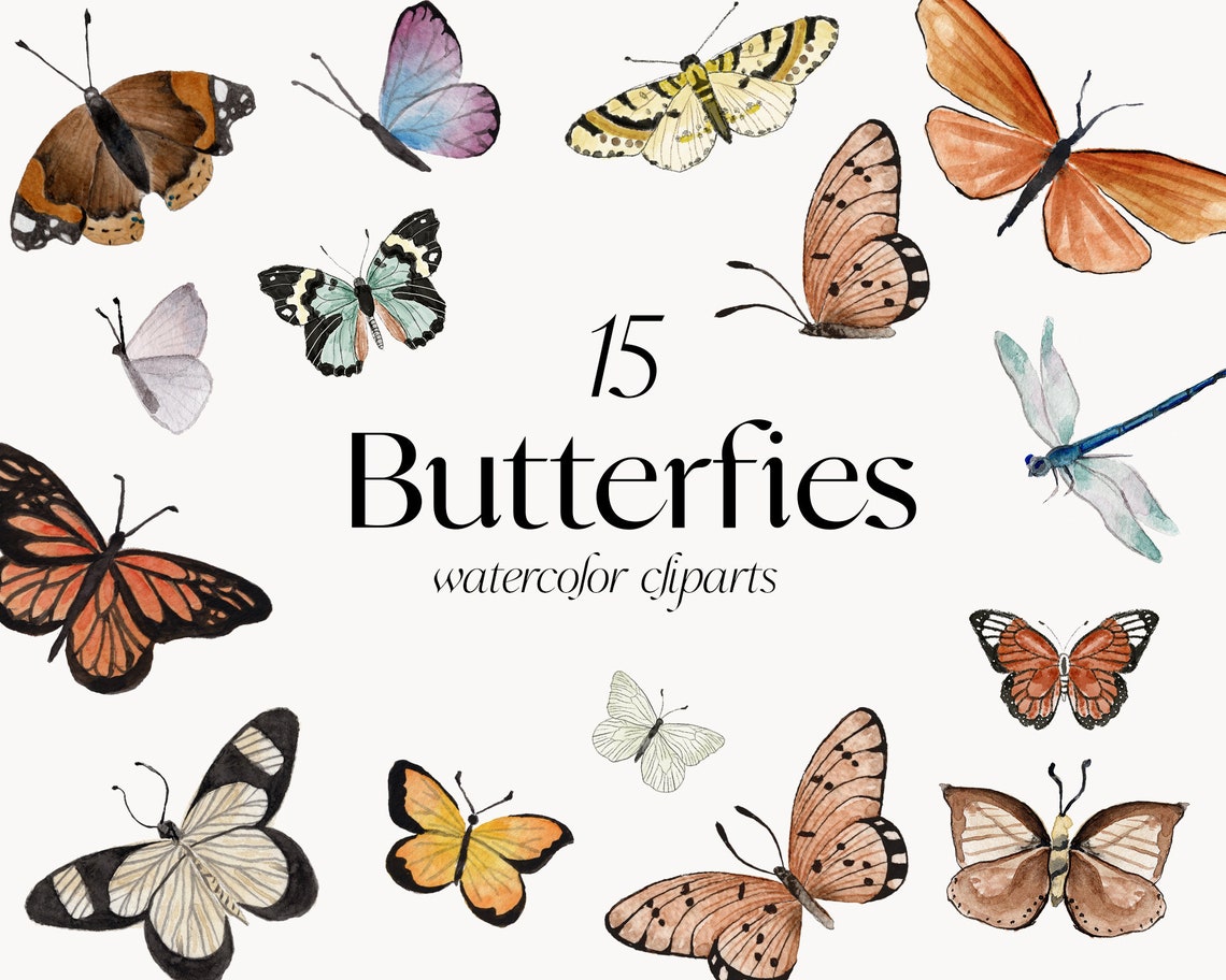 Watercolor Butterfly Clipart Garden Insects Png Floral - Etsy
