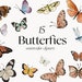 Watercolor Butterfly Clipart Garden Insects Png Floral - Etsy