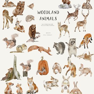 Watercolor Fall Woodland Forest Animals Clipart- Watercolor Pumpkin ...